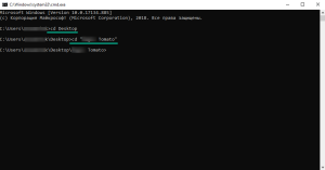 Windows console: why use it and basic commands.